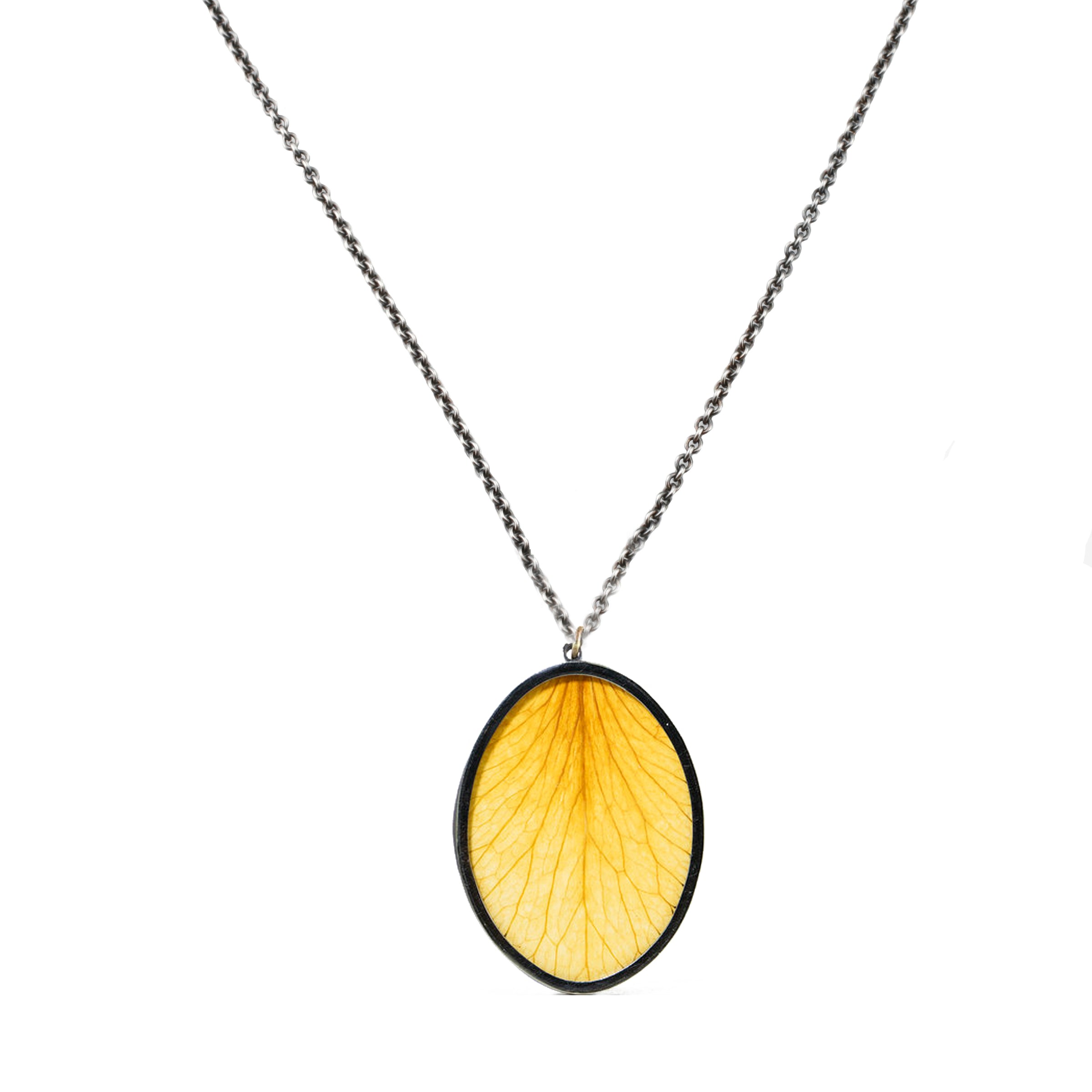 INTO THE WOODS – ESQUELETO